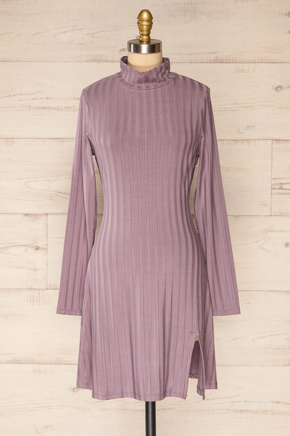 Kalani Mauve Fitted Mock Neck Dress | La petite garçonne